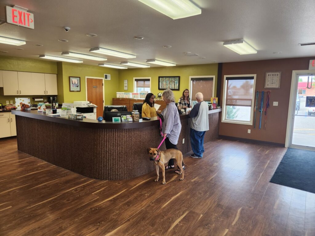 Veterinarian Casper, Evansville | All Creatures Veterinary Hospital